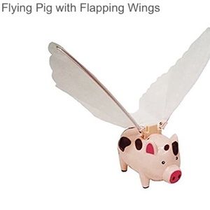 Pro-Motion Novelty | Other | When Pigs Fly Flying Pig | Poshmark